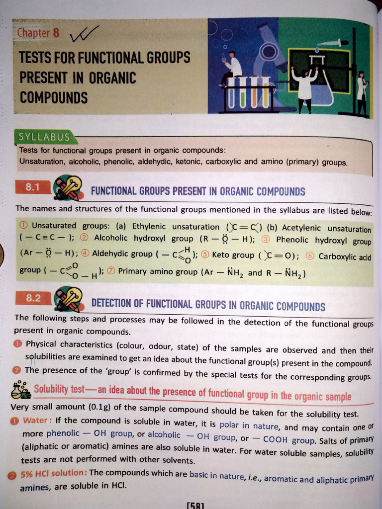 Func Group - Eng | PDF