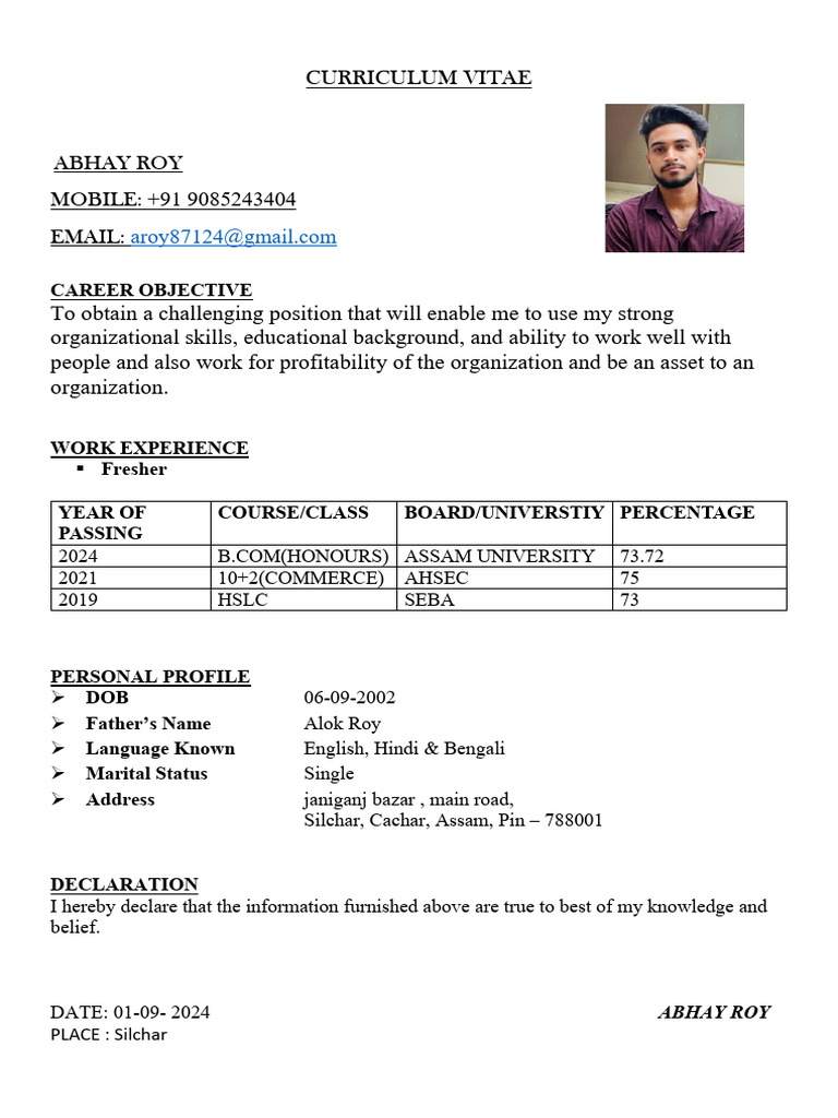 Abhay Roy's CV - B.Com Graduate | PDF