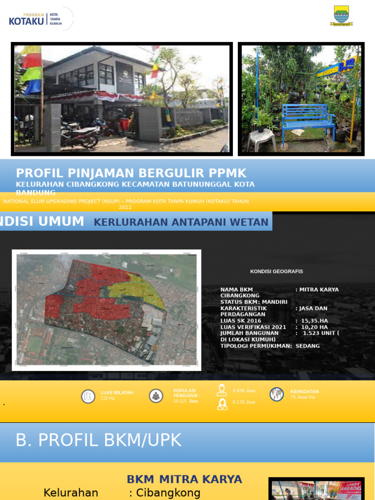 Profil PPMK RLF - Keluahan Cibangkong | PDF