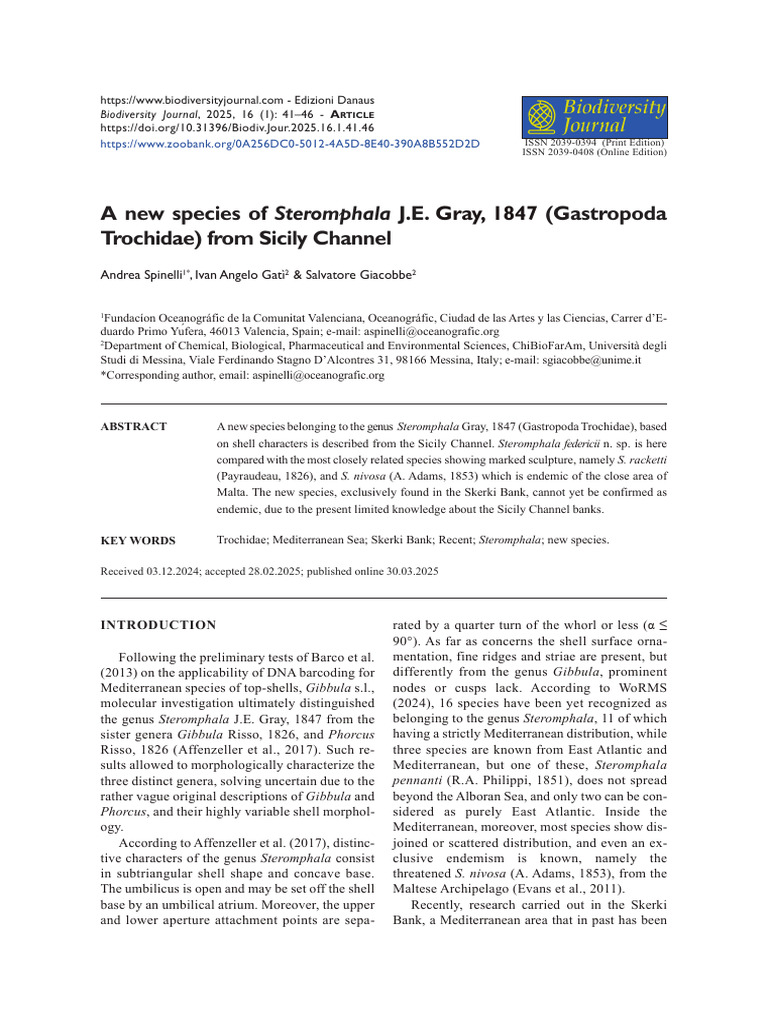 Spinelli Et Al., 2025 - Steromphala Federicii N. Sp. | PDF | Molluscs