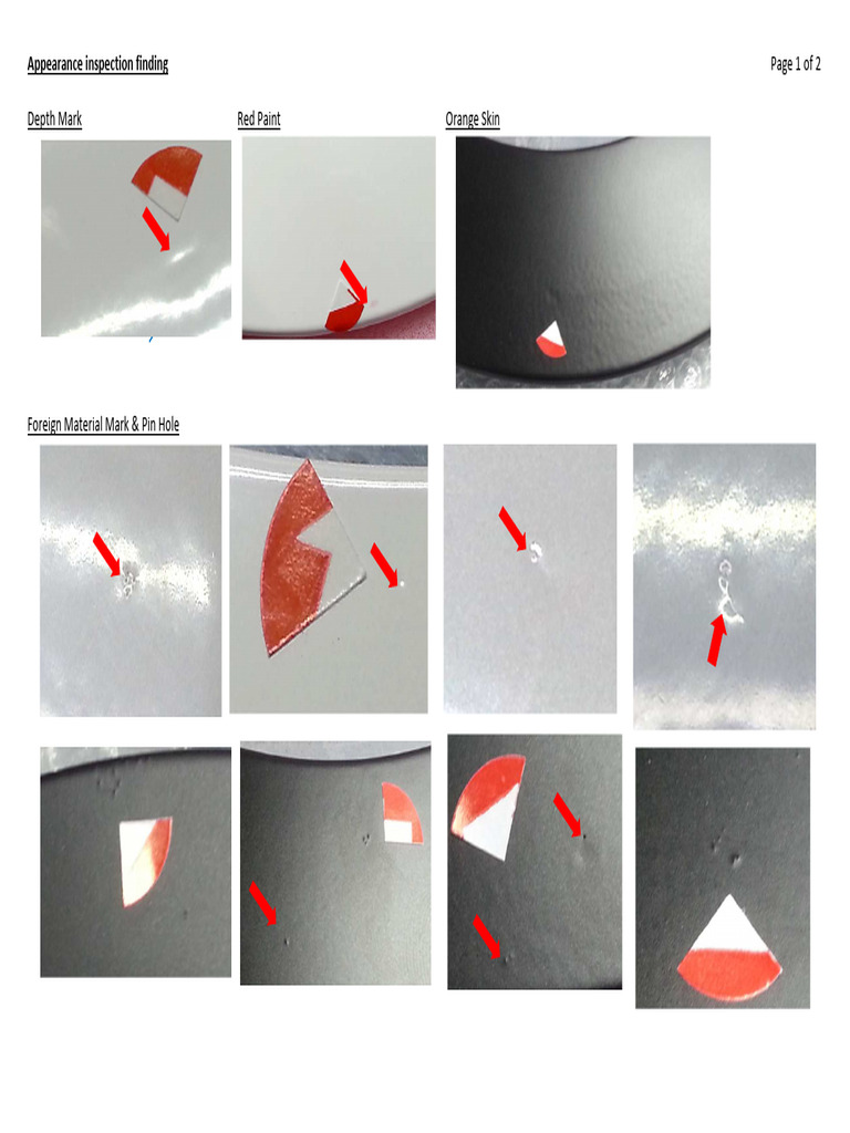 Appearance Inspection Data | PDF