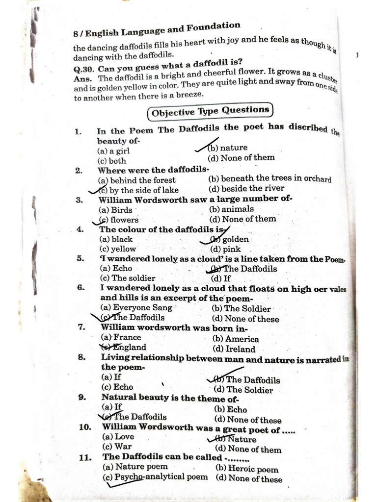 English 2nd Year | PDF