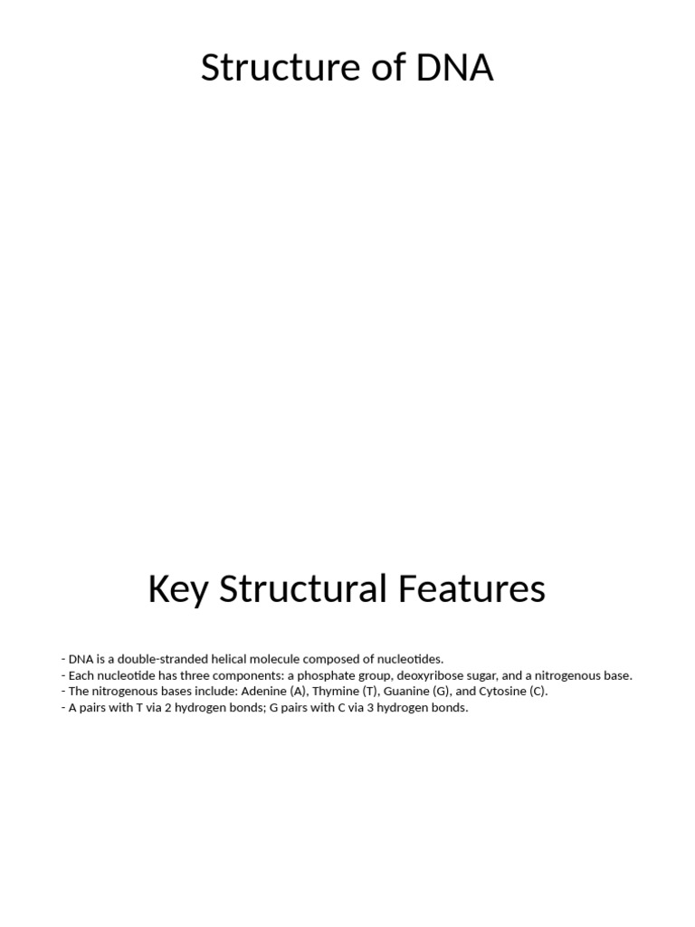 Structure of DNA Presentation | PDF