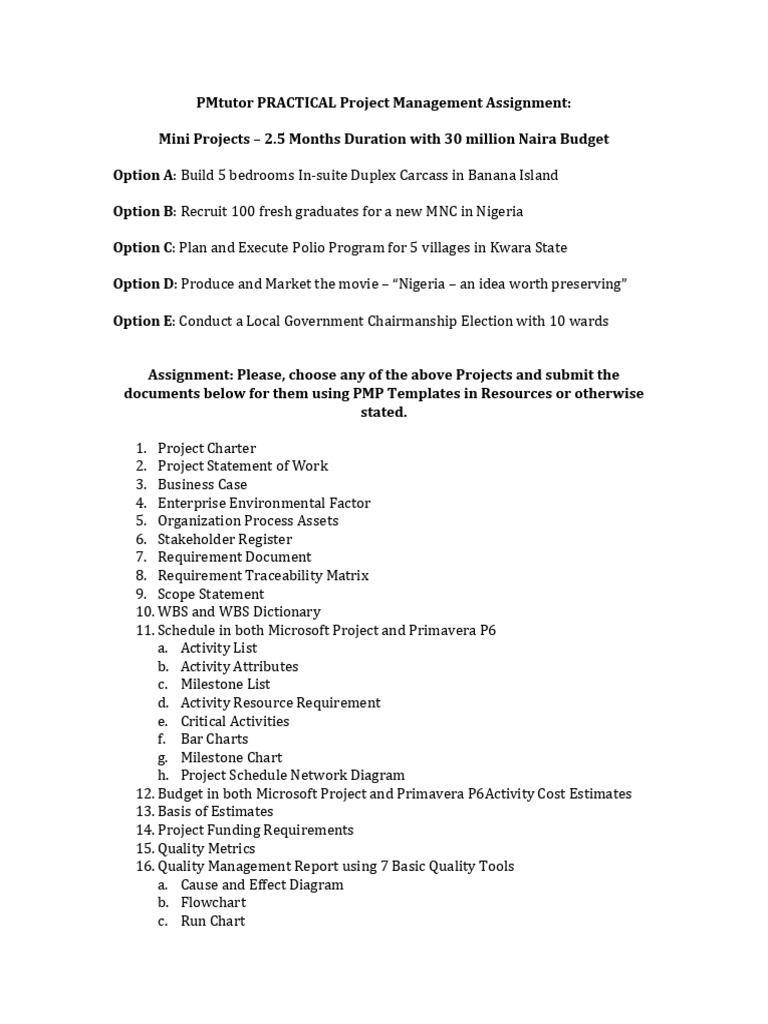 PMtutor PRACTICAL Project Management Assignment | PDF