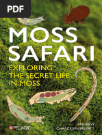 Moss Plant Structure and Observation Guide | PDF