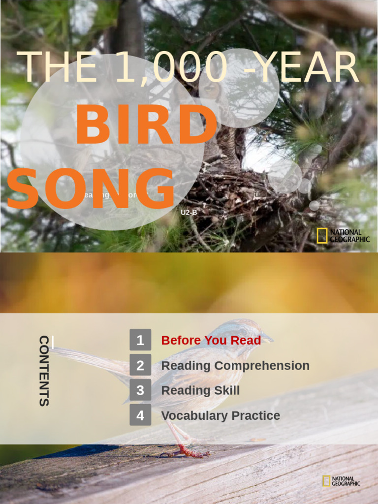 The 1,000-Year Song of Swamp Sparrows | PDF | Lion | Vocabulary