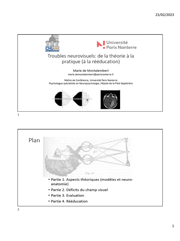 Cours Evaluation Neurovisuelle MdeMontalembert Partie 1 | PDF | Visual System | Retina