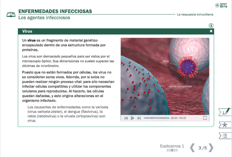 Tipos de agentes infecciosos y virus | PDF