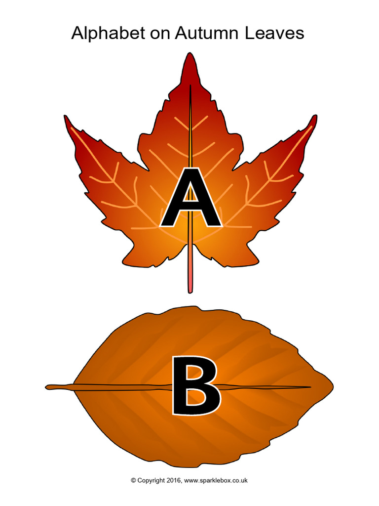 Alphabet On Autumn Leaves Capital | PDF