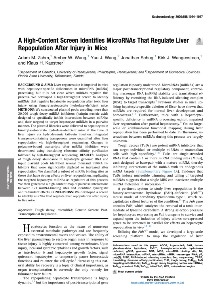 A High Content Screen Identifies MicroRNAs That Re | PDF | Micro Rna ...