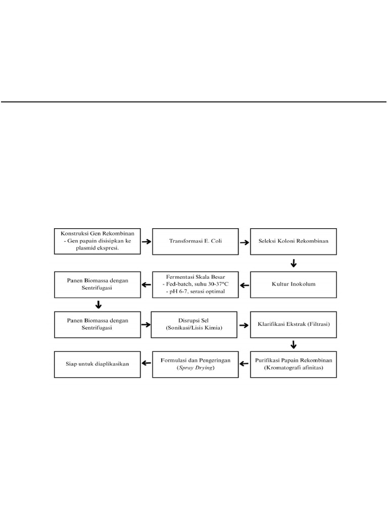 Analisis Rekayasa Enzim Papain | PDF