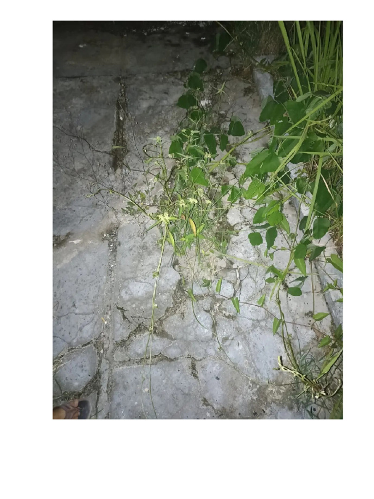 Foto Komplain Rumah | PDF