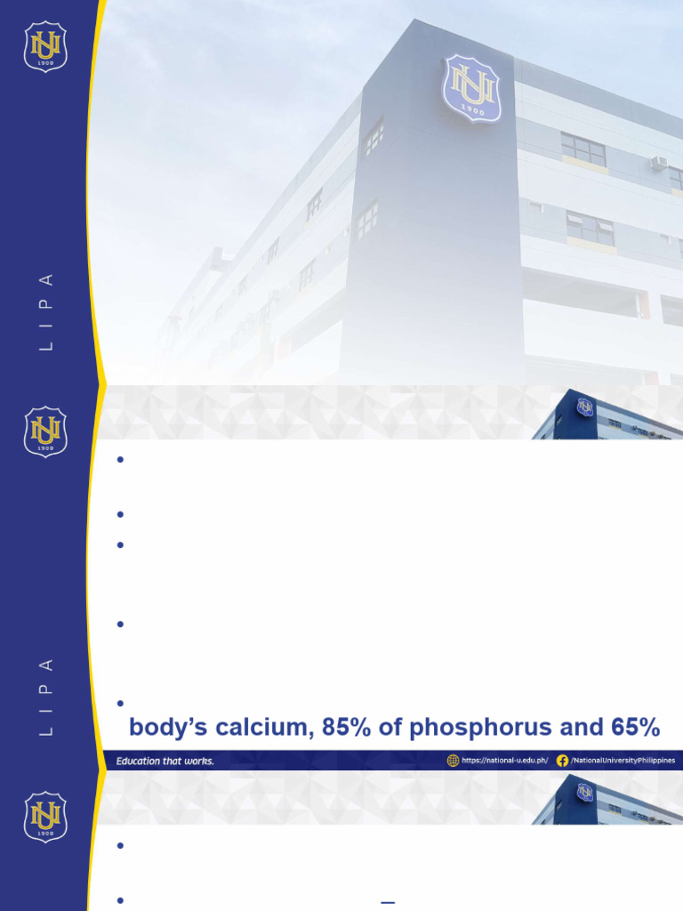 Week 4 Tissues Connective Removed | PDF | Bone | Osteoblast