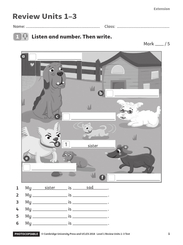 Level 1 Review Test Units 1-9 | PDF