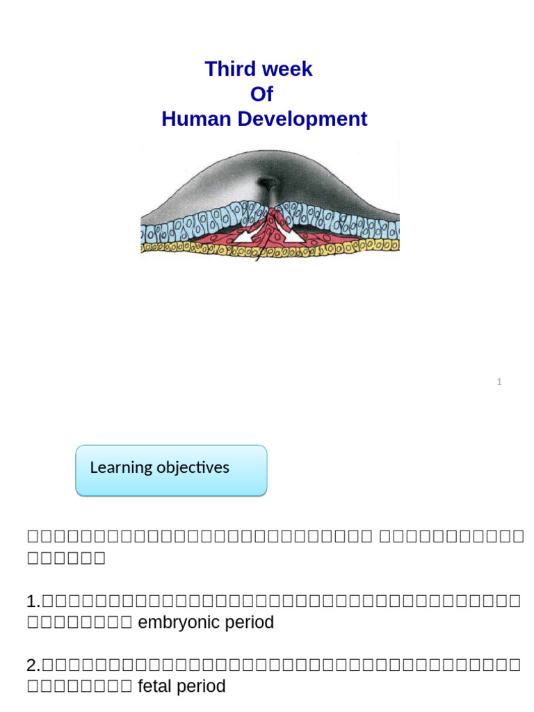 Human Development Weeks-3 | PDF