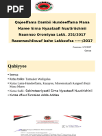 Qajeelfama Bulchiinsa Humna Namaa | PDF