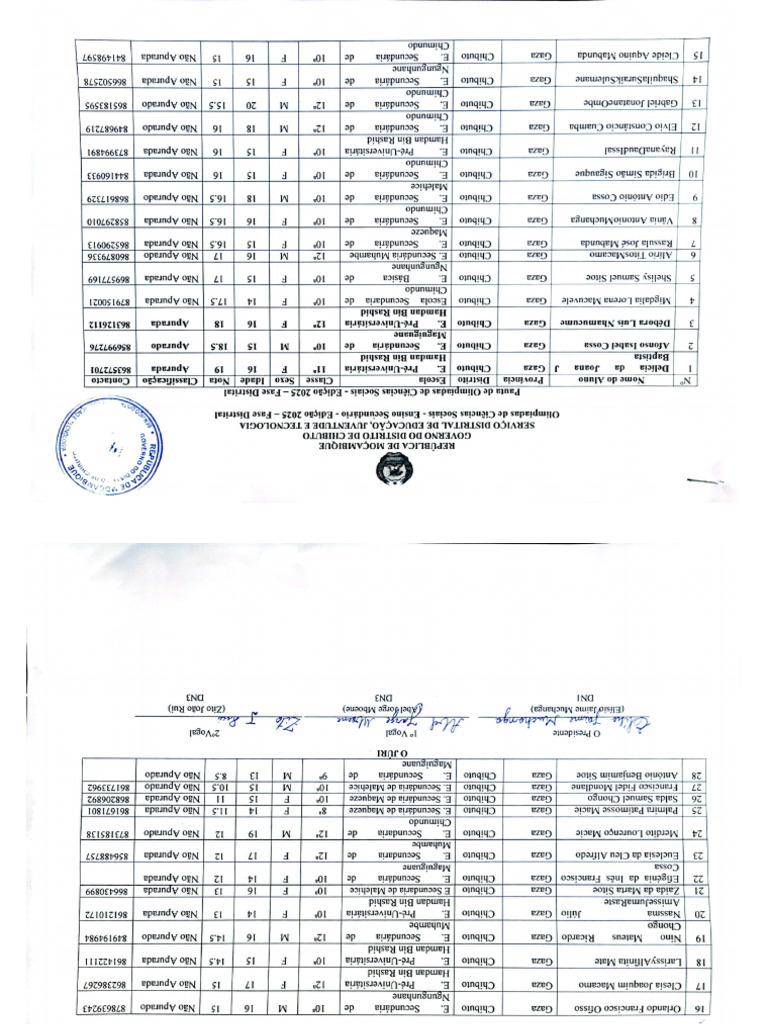 Chibuto - Pauta OCS 2025 | PDF
