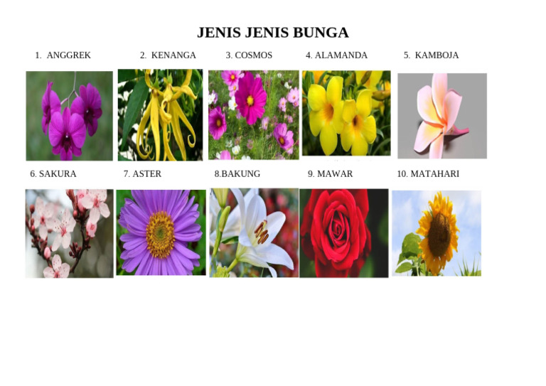 Jenis Jenis Bunga | PDF