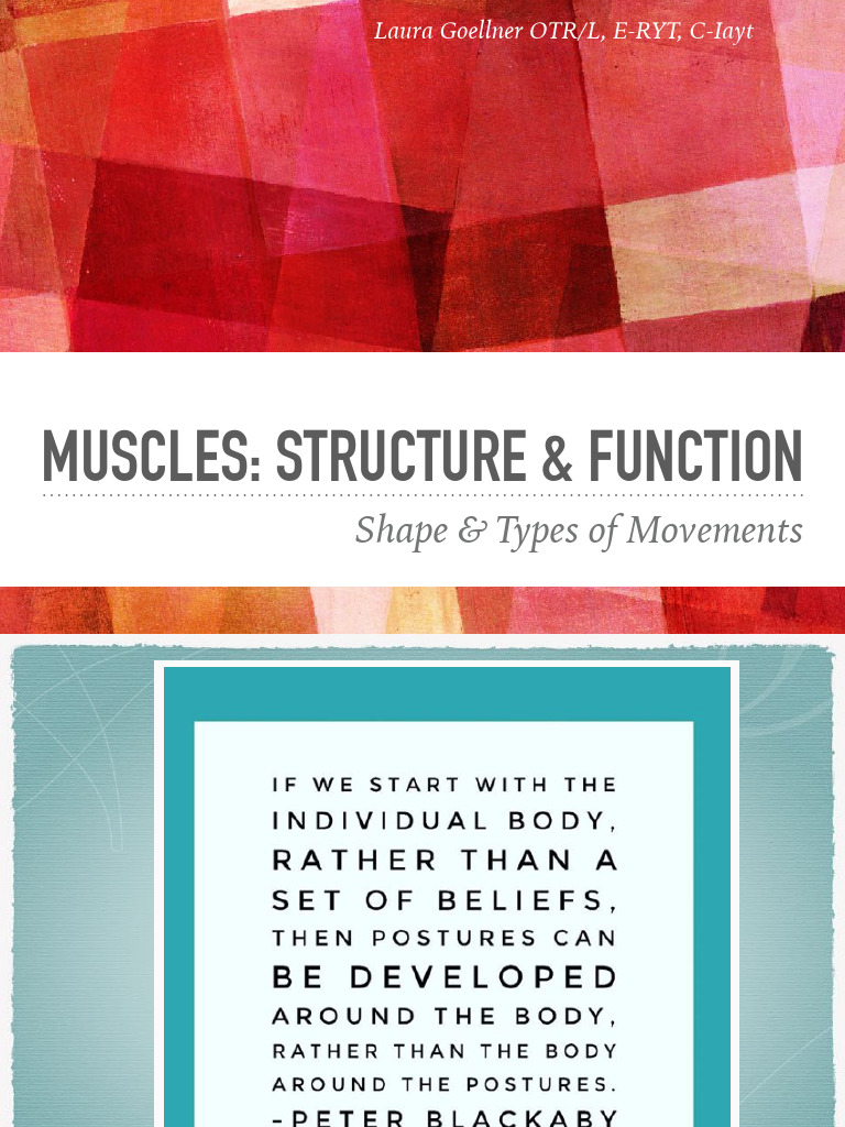 PDF EE Muscles Type Structure and Shapes | PDF | Muscle | Muscle Contraction