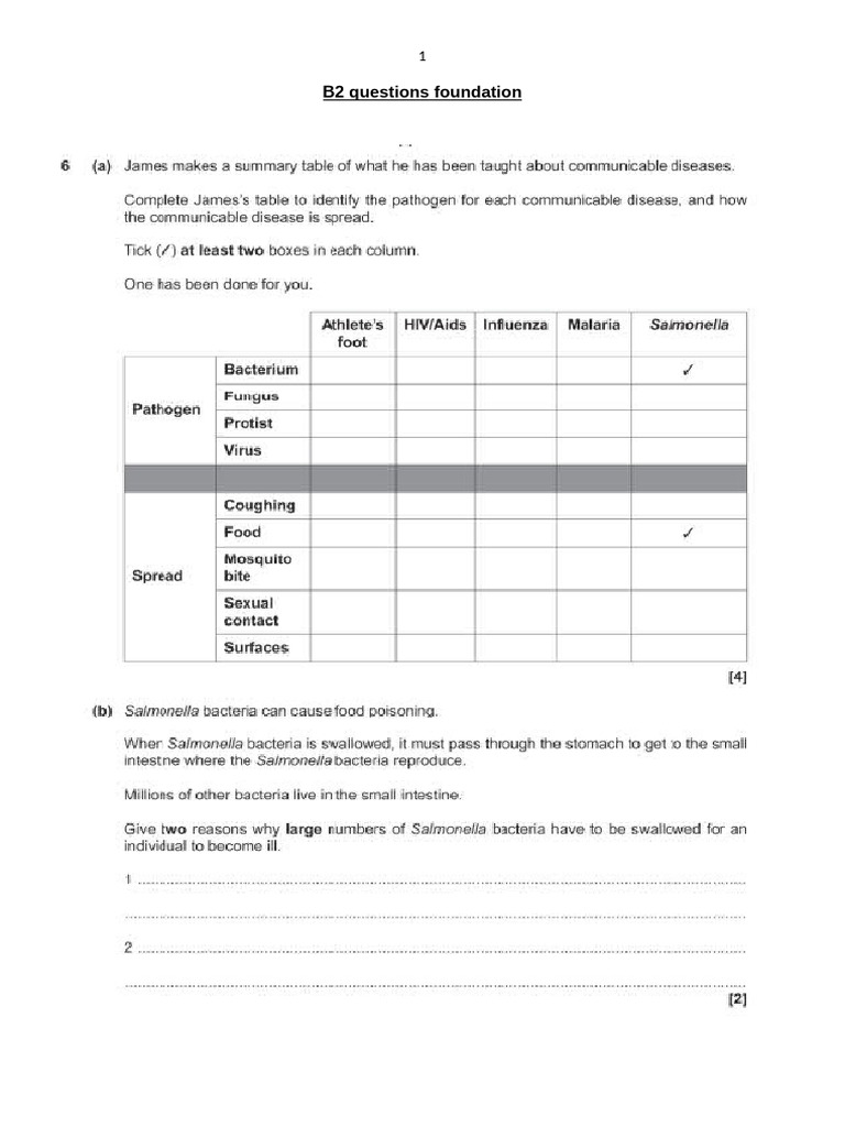 B2 Exam Questions From Slides - Foundation | PDF