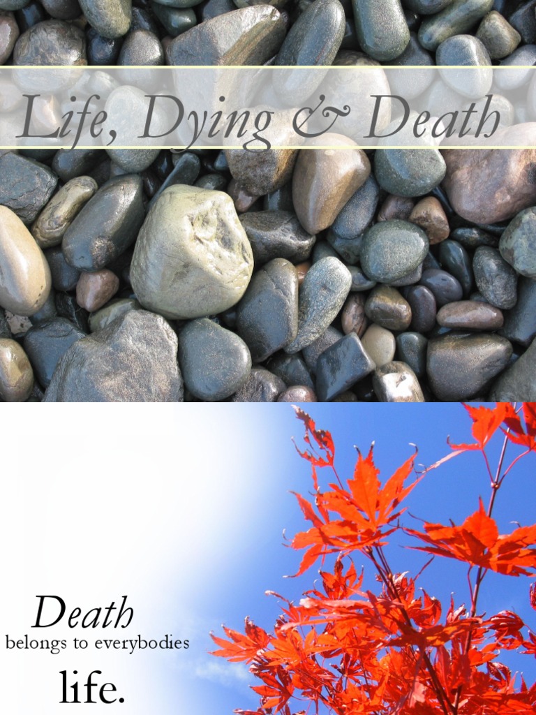 Understanding Life and Death Stages | PDF | Language Arts & Discipline ...