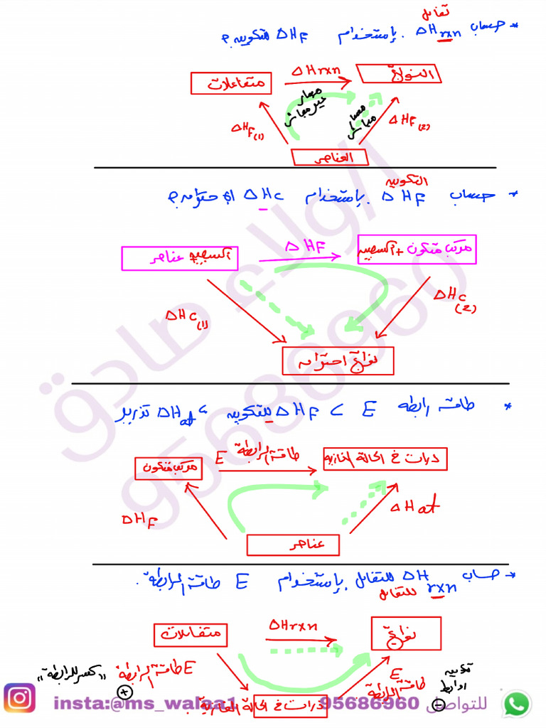 Document From DR - Norhan Adel 6 | PDF