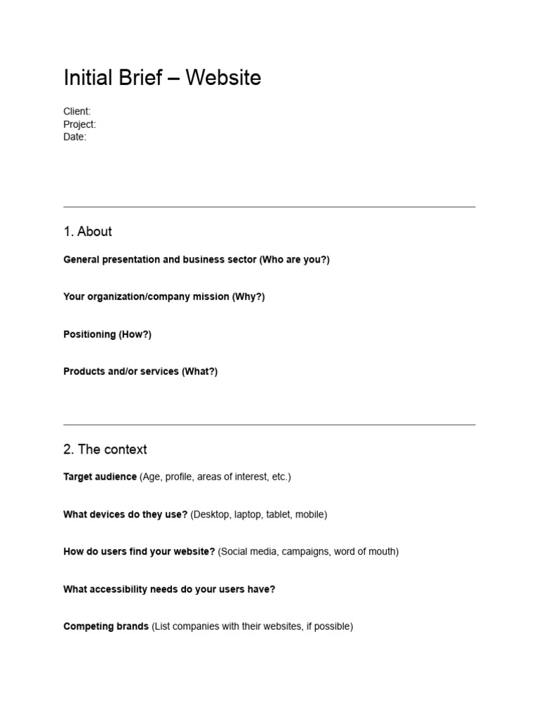 Initial Brief - Website (En) | PDF