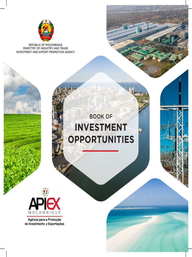 Investment Opportunities in Mozambique | PDF | Mozambique | Electric ...