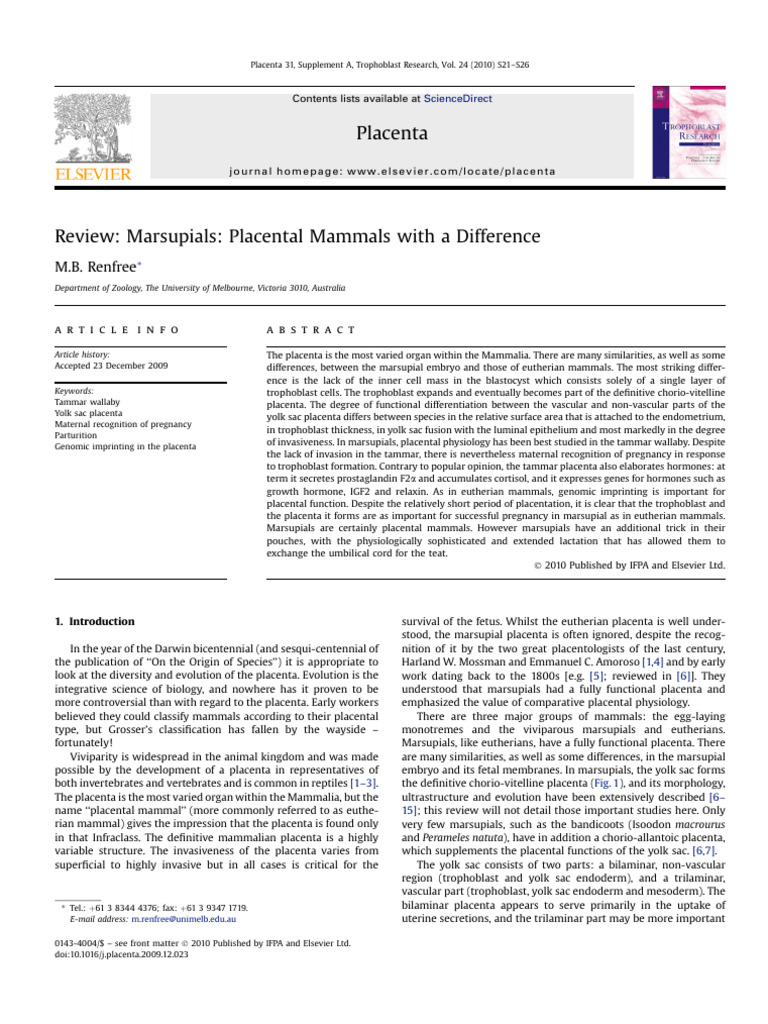 Marsupials vs. Placental Mammals | PDF | Placenta | Marsupials