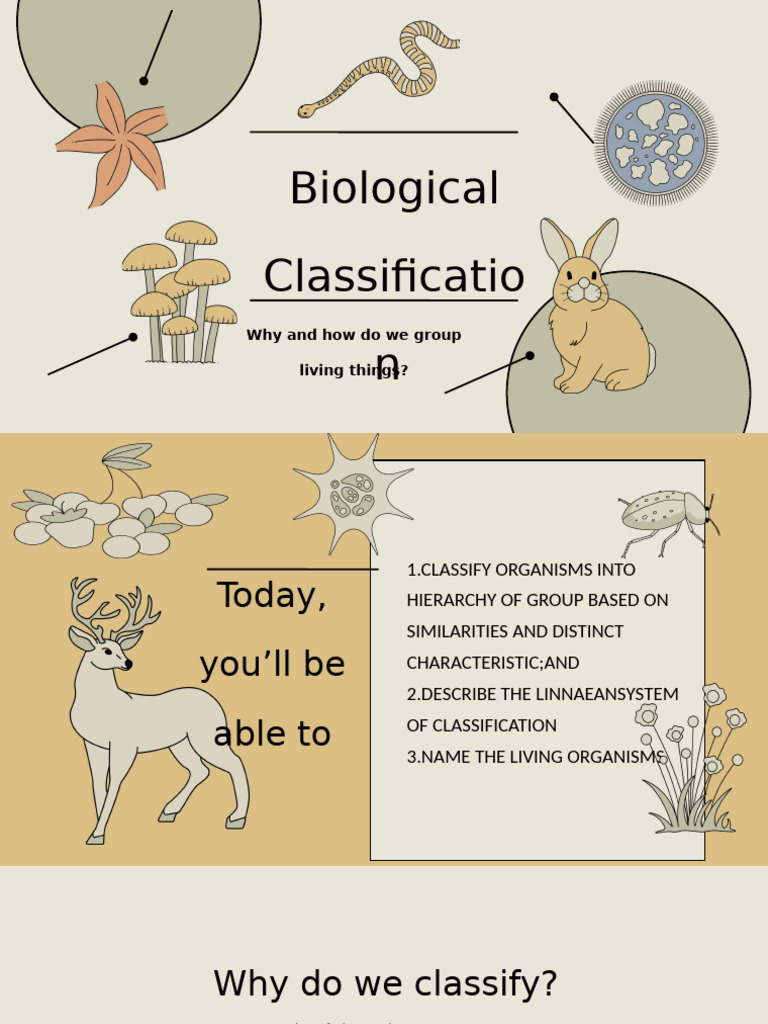 biological classification | PDF | Taxonomy (Biology) | Species