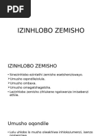 Isizulu Essay Writing Guide for Grades 7-12 | PDF