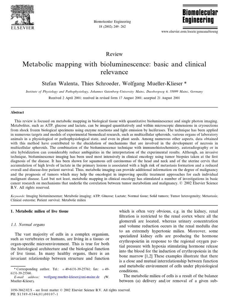 Metabolic Mapping With. Walenta | PDF | Radiation Therapy | Atherosclerosis