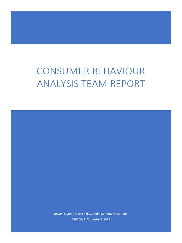 Consumer Behaviour Analysis Team Report | PDF | Brand | Target Audience