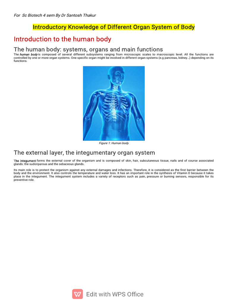 B SC Hons Biotech 4 Sem Human Phy DR Santosh Thakur | PDF