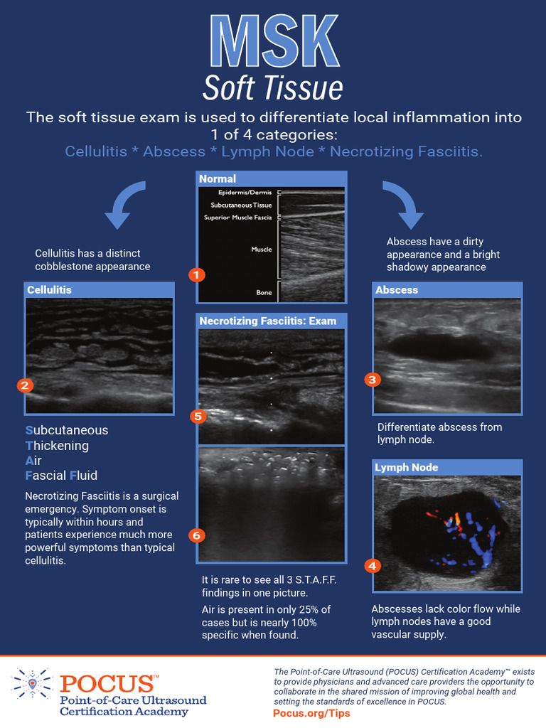 MSK Soft Tissue | PDF | Human Diseases And Disorders | Clinical Medicine