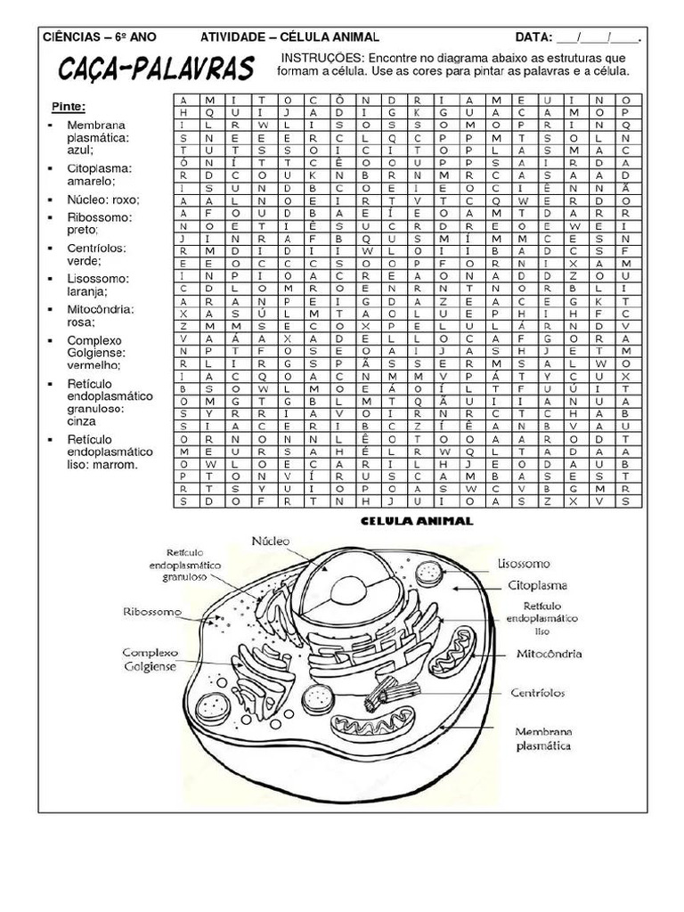 Atividade Célula - Cruzadinha Pintura | PDF