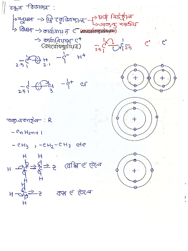 Organic Chemistry Extra | PDF