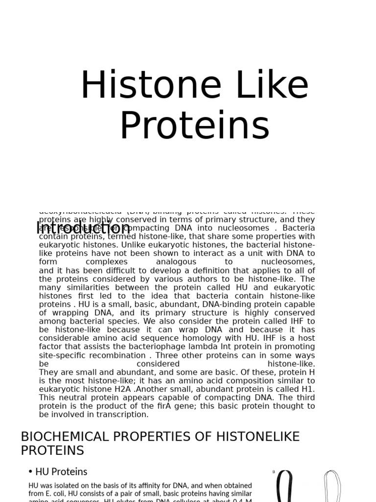 Histone Like Proteins | PDF | Histone | Proteins