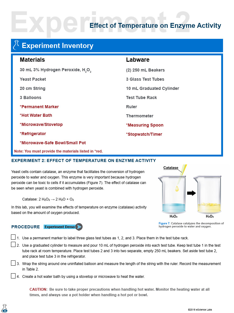 Temperature Effects on Enzyme Activity | PDF | Catalase | Hydrogen Peroxide