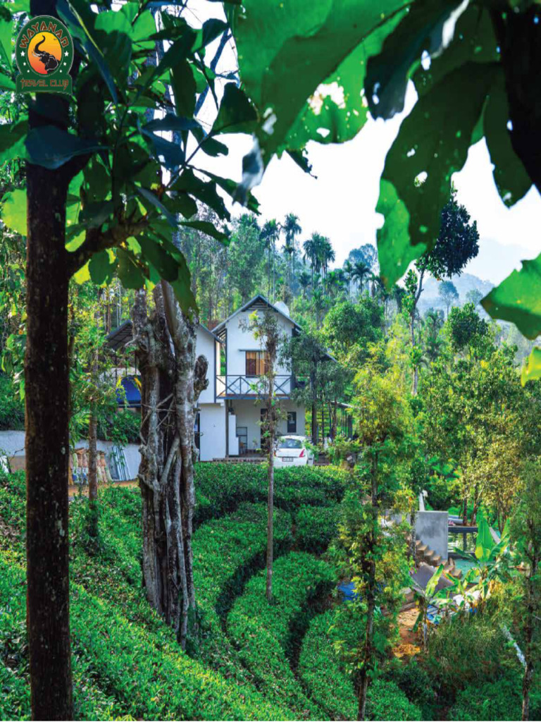 Wayanad Tourist Attractions & Facilities | PDF