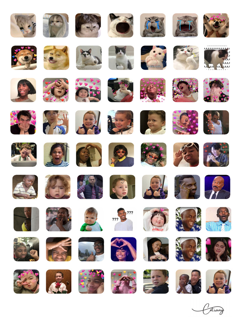 Cháº M Ä Iá M Báº NG Meme | PDF