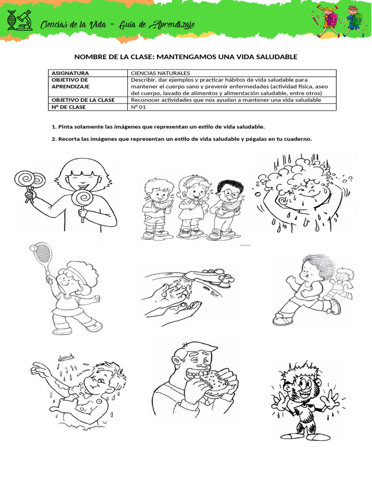 Nombre de La Clase: Mantengamos Una Vida Saludable | PDF