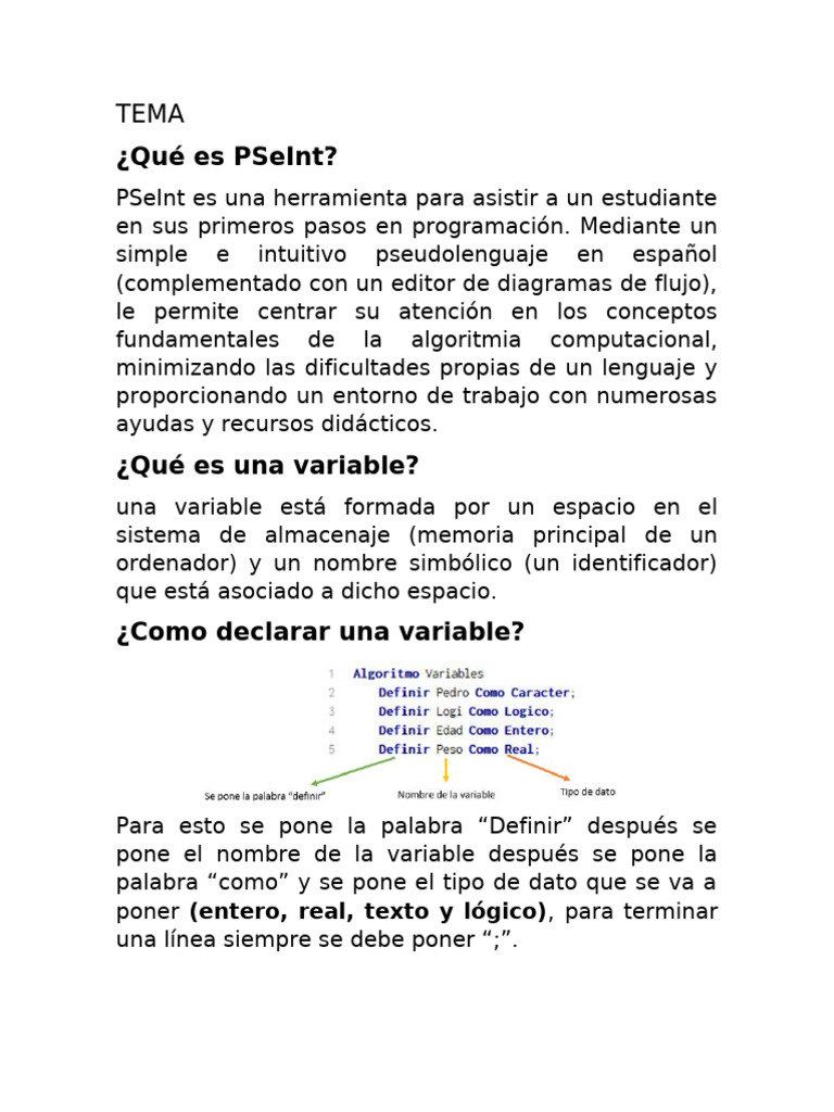 Tema Pseint | PDF | Variable (informática) | Ingeniería de software