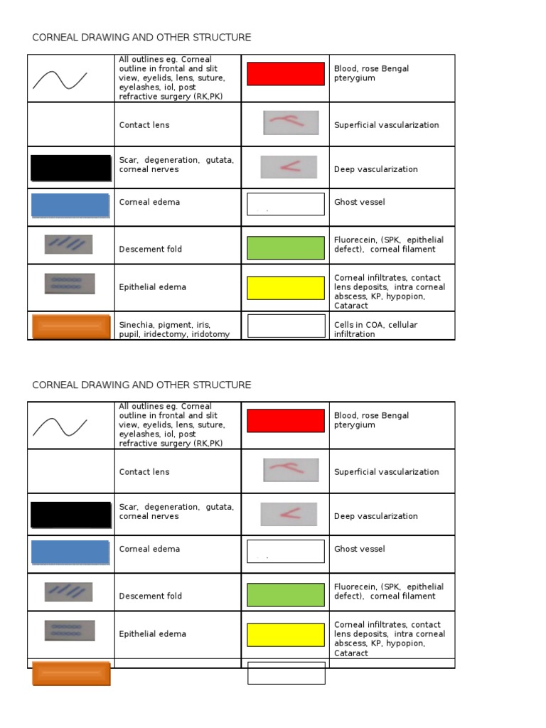 Corneal Drawing and Other Structure | PDF | Cornea | Contact Lens