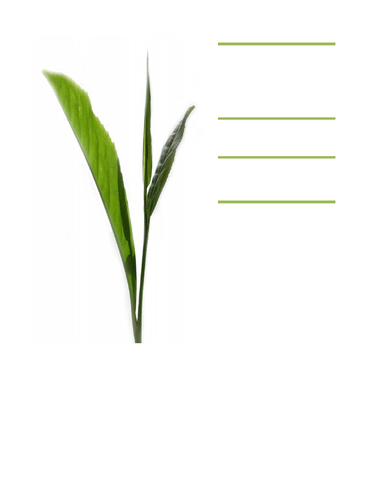Acidity Analysis of Tea Leaves | PDF | Tea | Acid