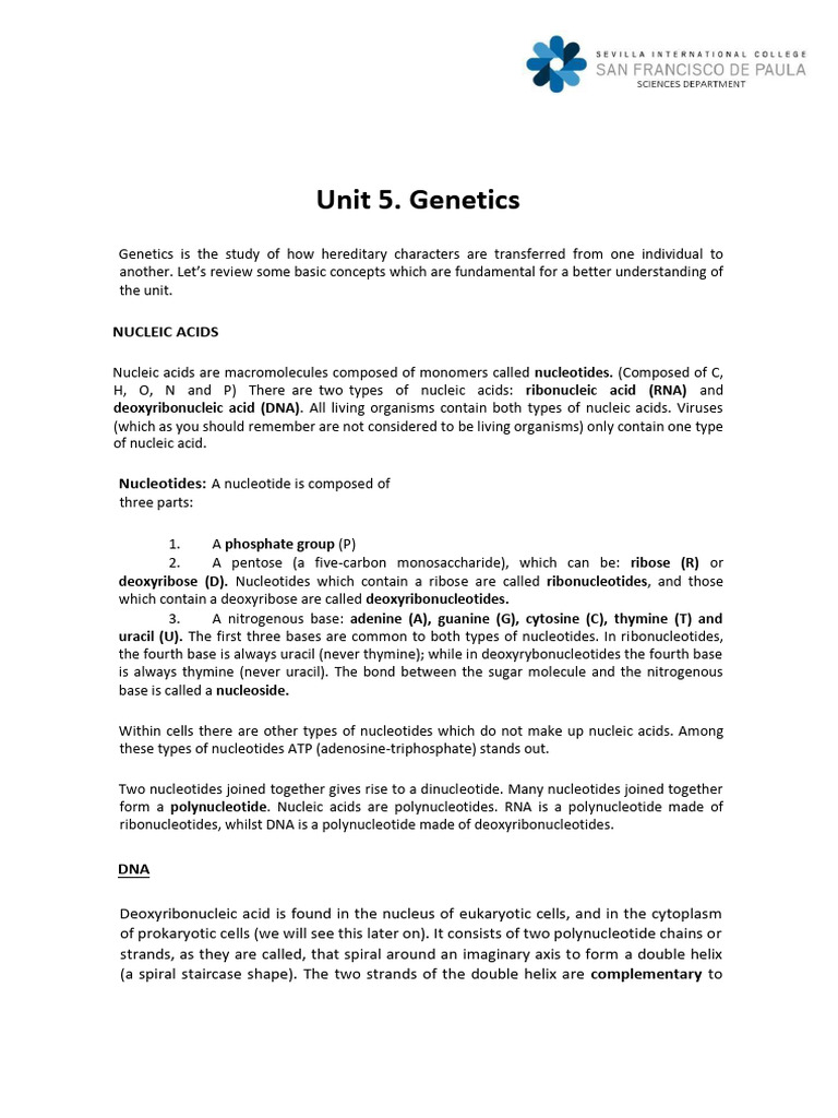 Y9-MYP. Unit 4. Genetics & Evolution | PDF | Meiosis | Ploidy