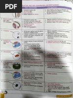 Cell Rap Lyrics | PDF | Cell (Biology) | Cytoplasm