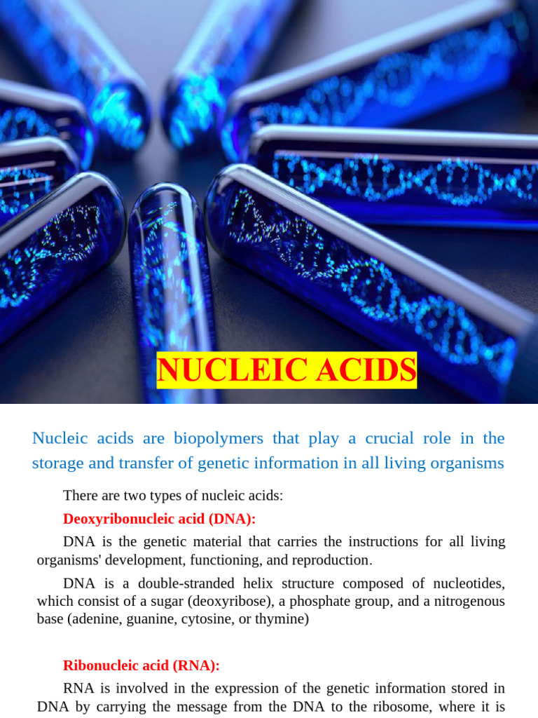 Nucleic Acids, Lipids, Proteins and Enzymes | PDF | Vaccines | Nucleic ...