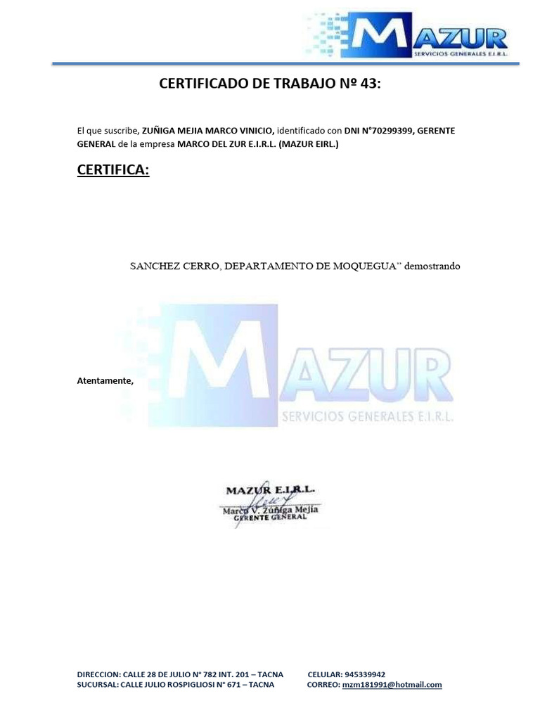 Curriculum Vitae 2024-2 Hojas | PDF
