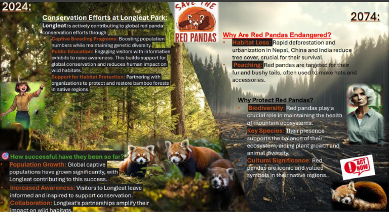 Conservation Poster | PDF